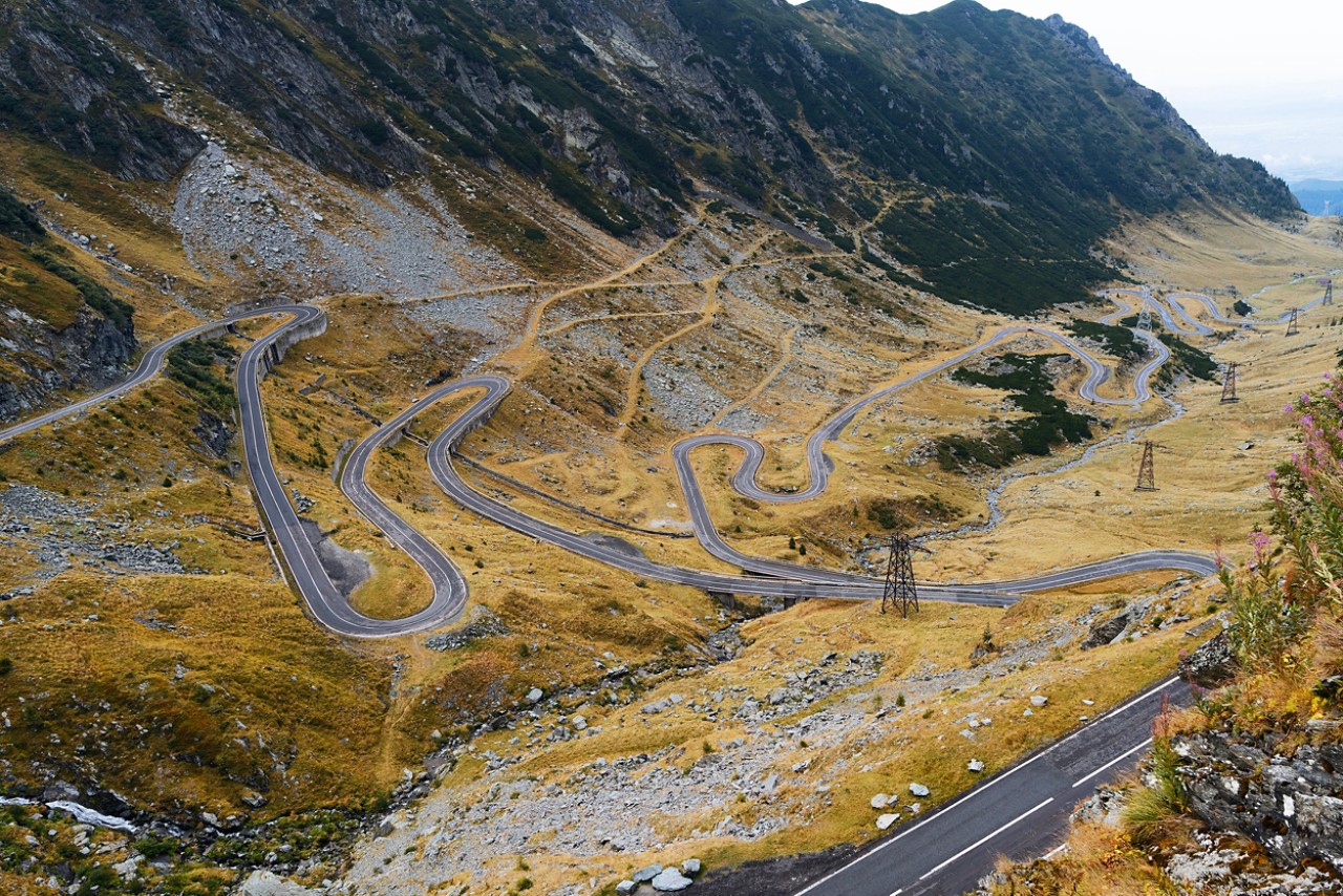 Lexus Assistance 24/7